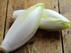 CIGORIŅI - dārzos un savvaļā