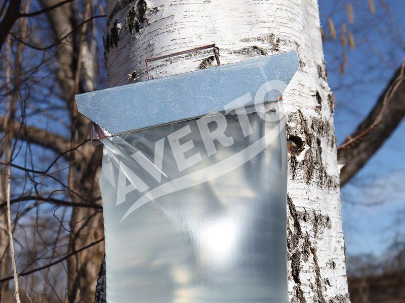 Bērzu un kļavu sulas tecināšanas komplekts 19.00 € | Averto.lv