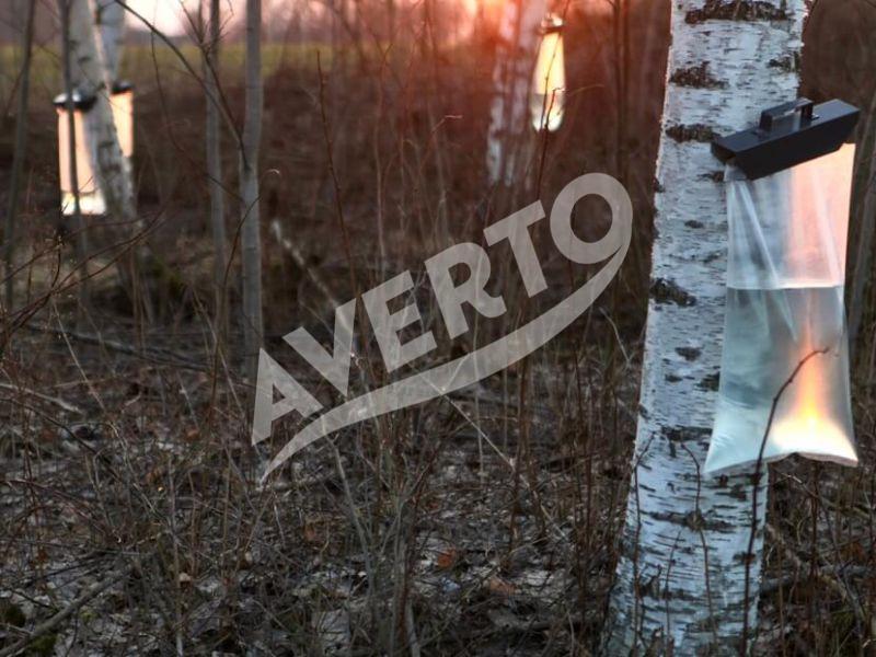 Bērzu un kļavu sulas tecināšanas komplekts 19.00 € | Averto.lv