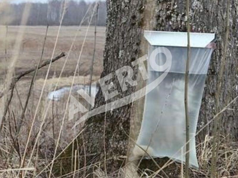 Bērzu un kļavu sulas tecināšanas komplekts 19.00 € | Averto.lv
