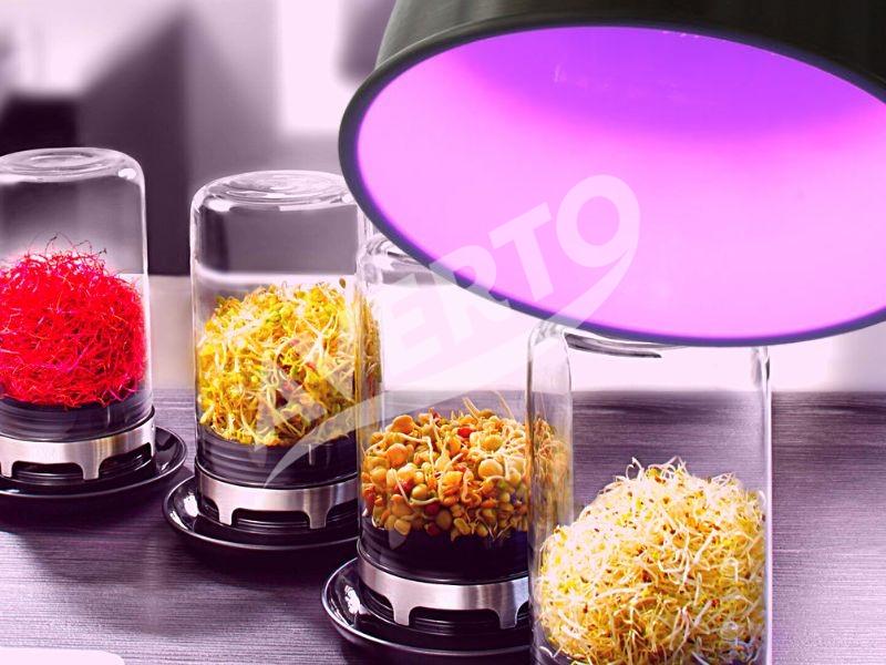 Diedzēšanas trauki un augu Fito lampas | Averto.lv