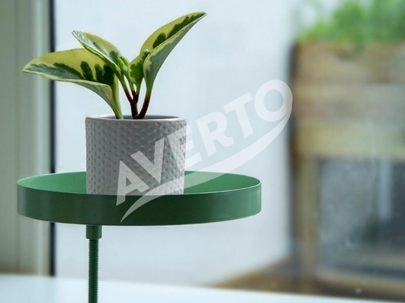 Windowsill Clamp Tray L (Color) 11.00 € | Averto